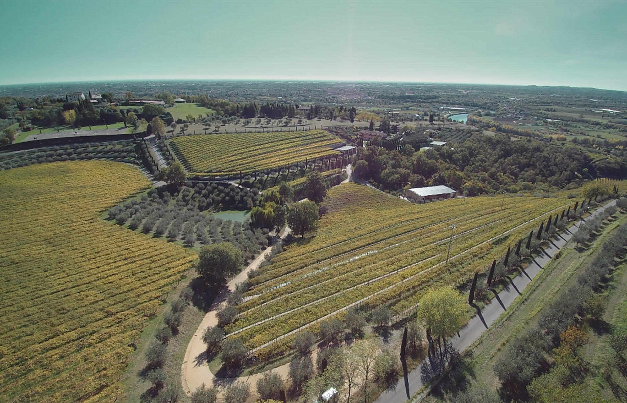 Estate - Roccolo Callisto